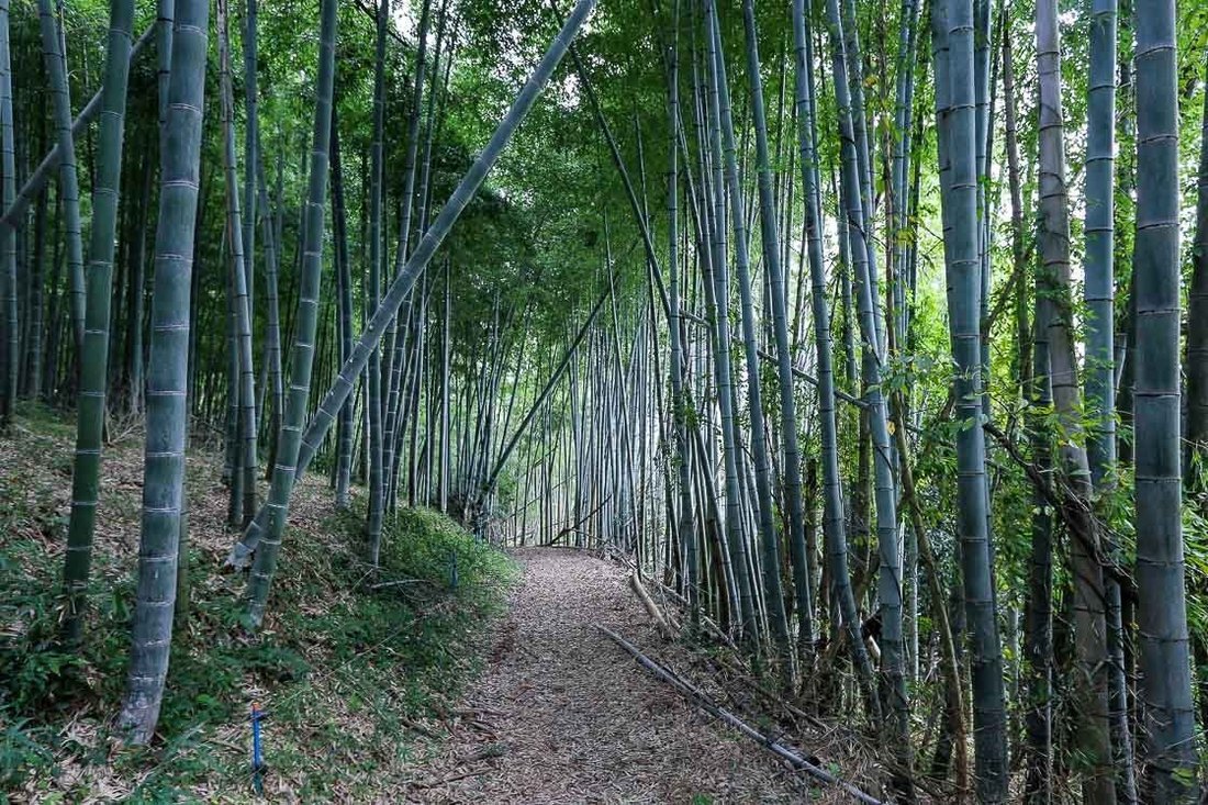 Walking back to Ancient Japan