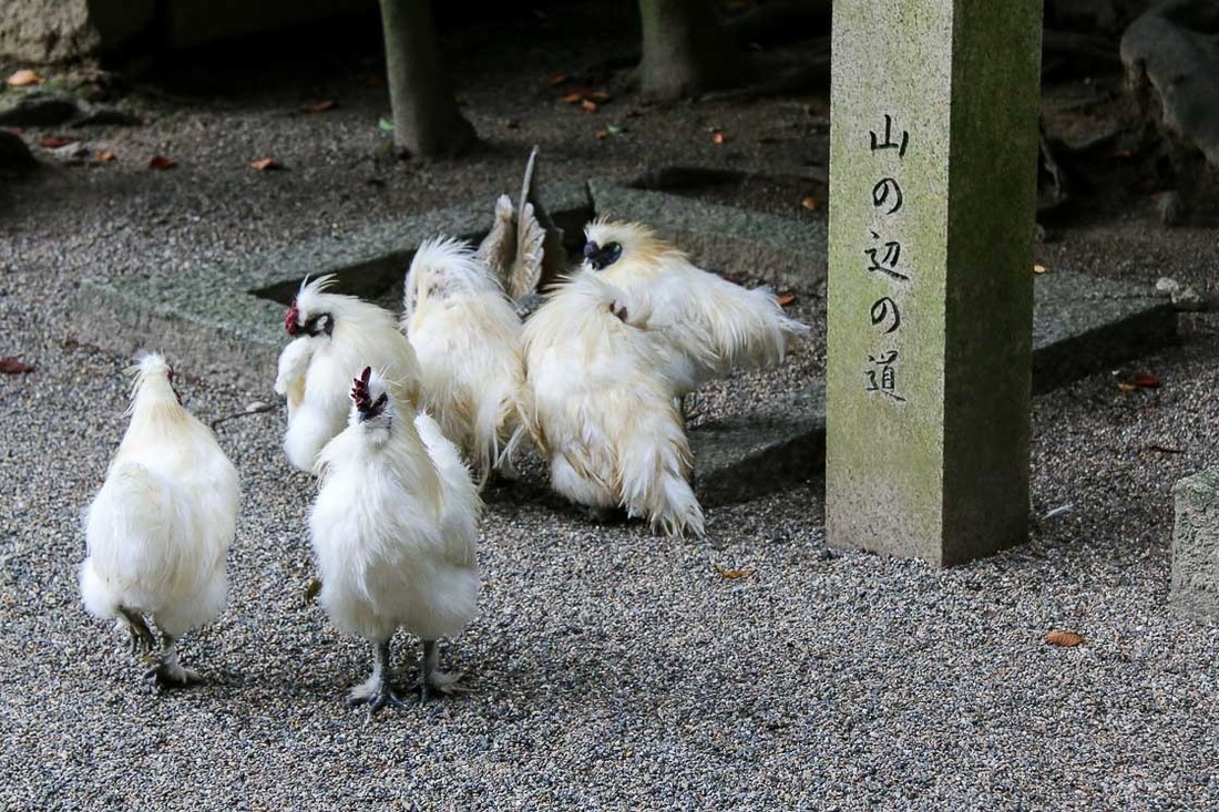 Walking back to Ancient Japan