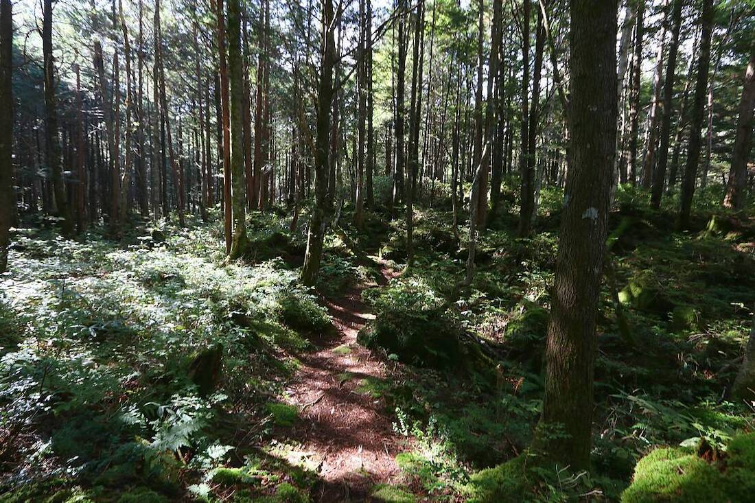 Three great side-trips from Nagoya