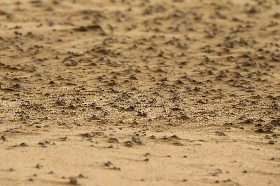 Coastal scenery and hiking trails in western Japan