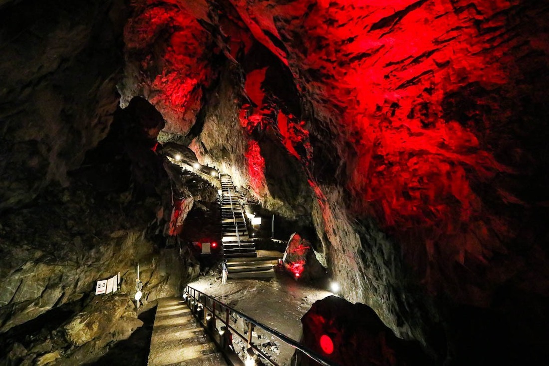 Exploring Tokyo's hidden oasis