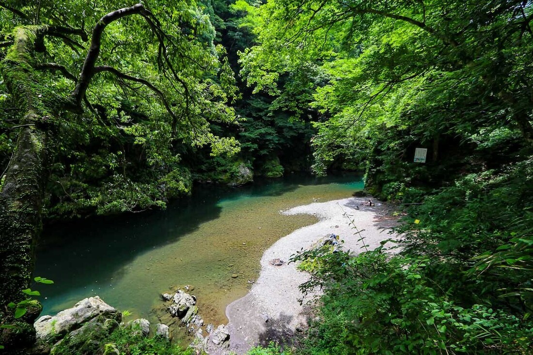Exploring Tokyo's hidden oasis