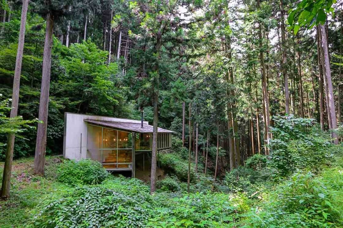 Exploring Tokyo's hidden oasis