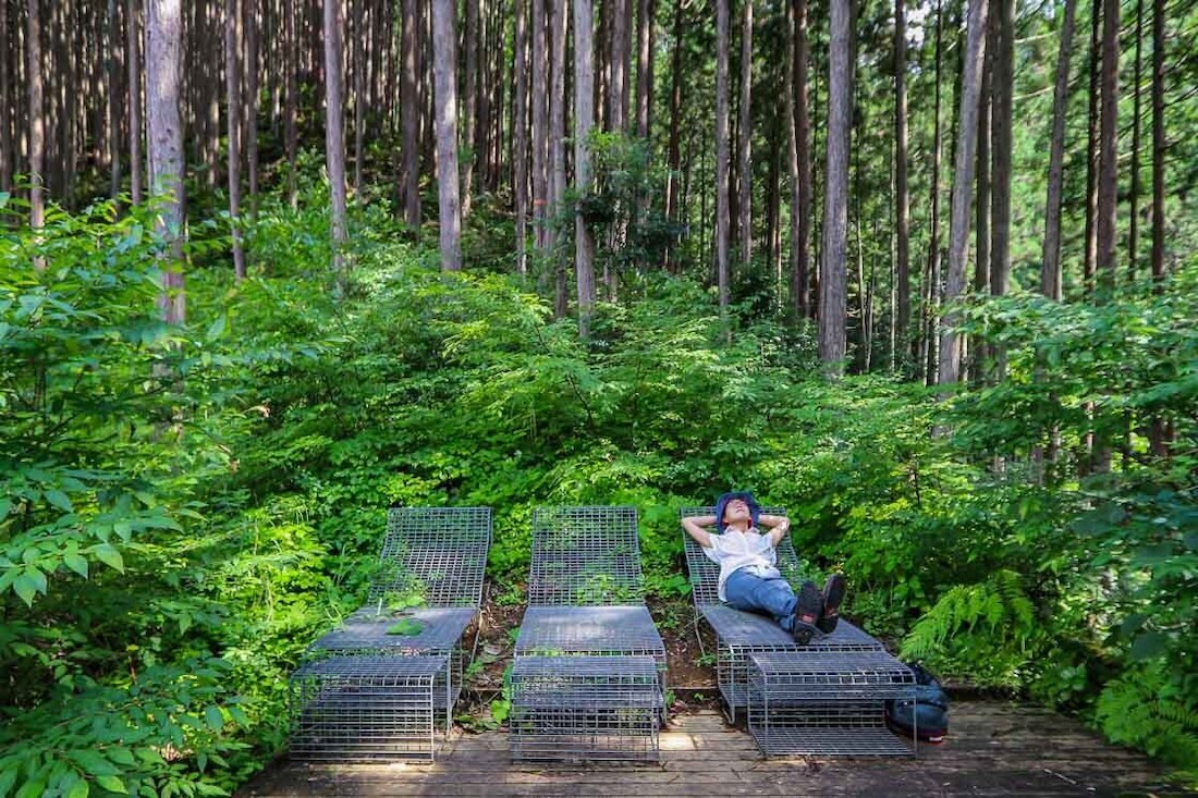 Exploring Tokyo's hidden oasis