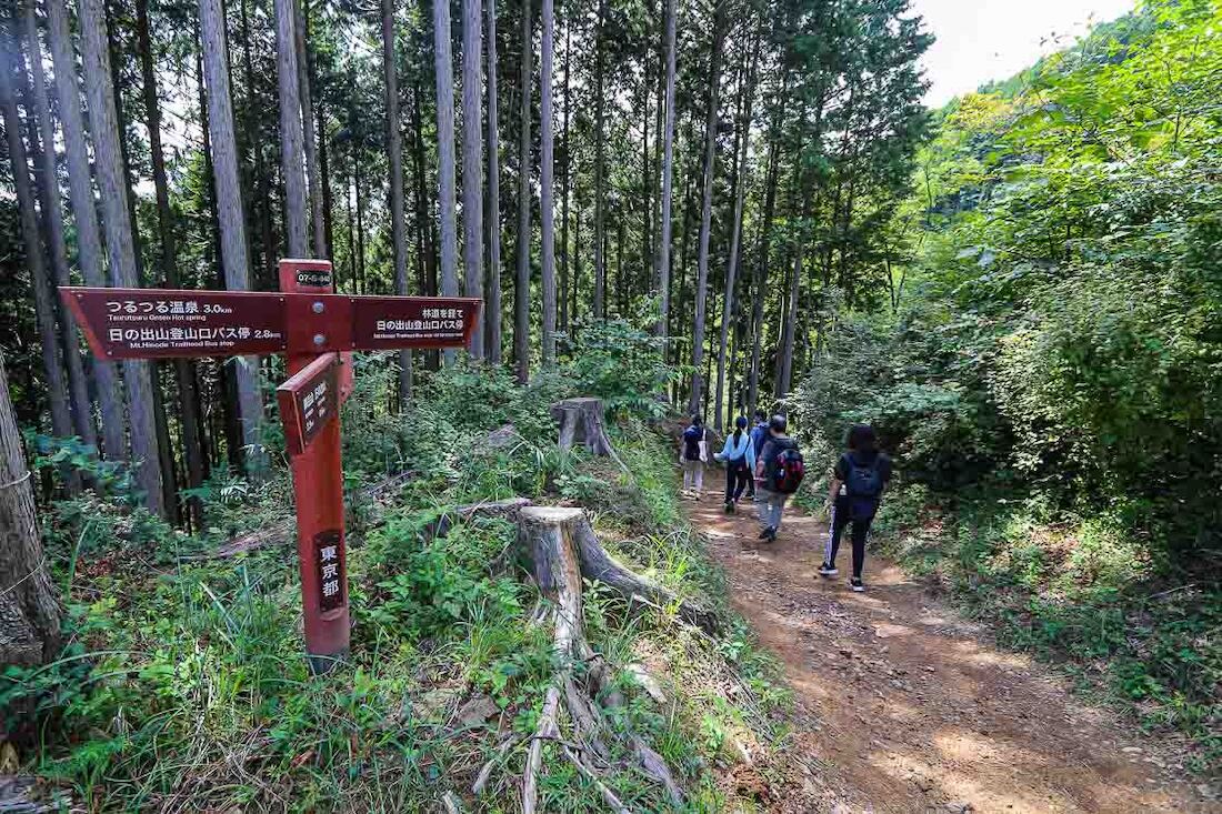 A local's guide on where to enjoy the outdoors in the Tama region ...