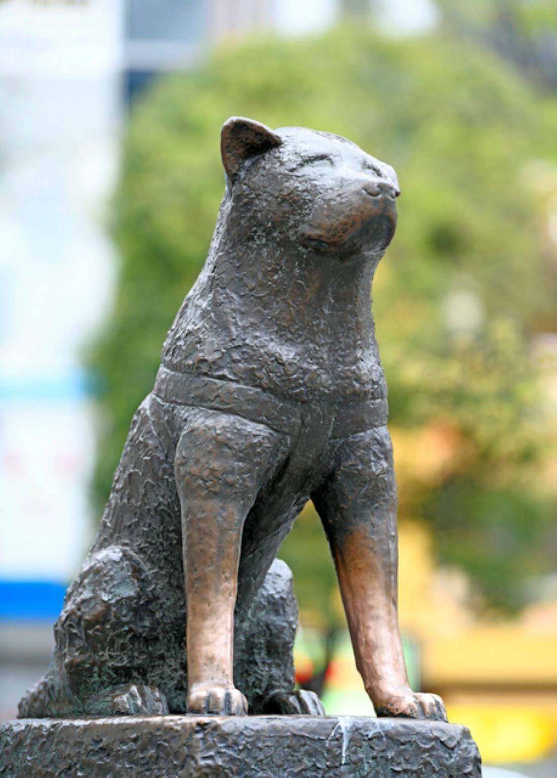 See the Sights of Tokyo and Mt. Fuji from Shibuya