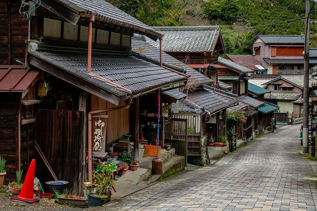Cycling, Stand Up Paddleboarding, and Tea Tasting in Shizuoka City - A ...