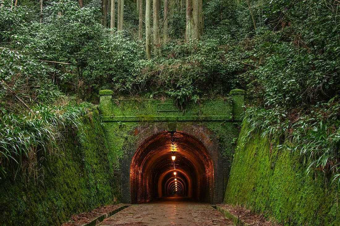 Cycling, Stand Up Paddleboarding, and Tea Tasting in Shizuoka City - A ...