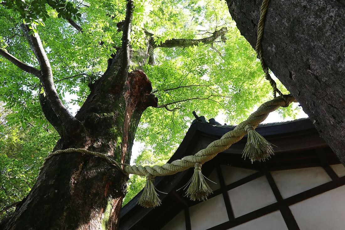 Stepping back in time in Kawagoe