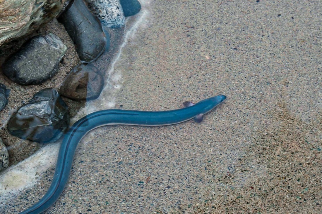 4-day roadtrip through central Japan