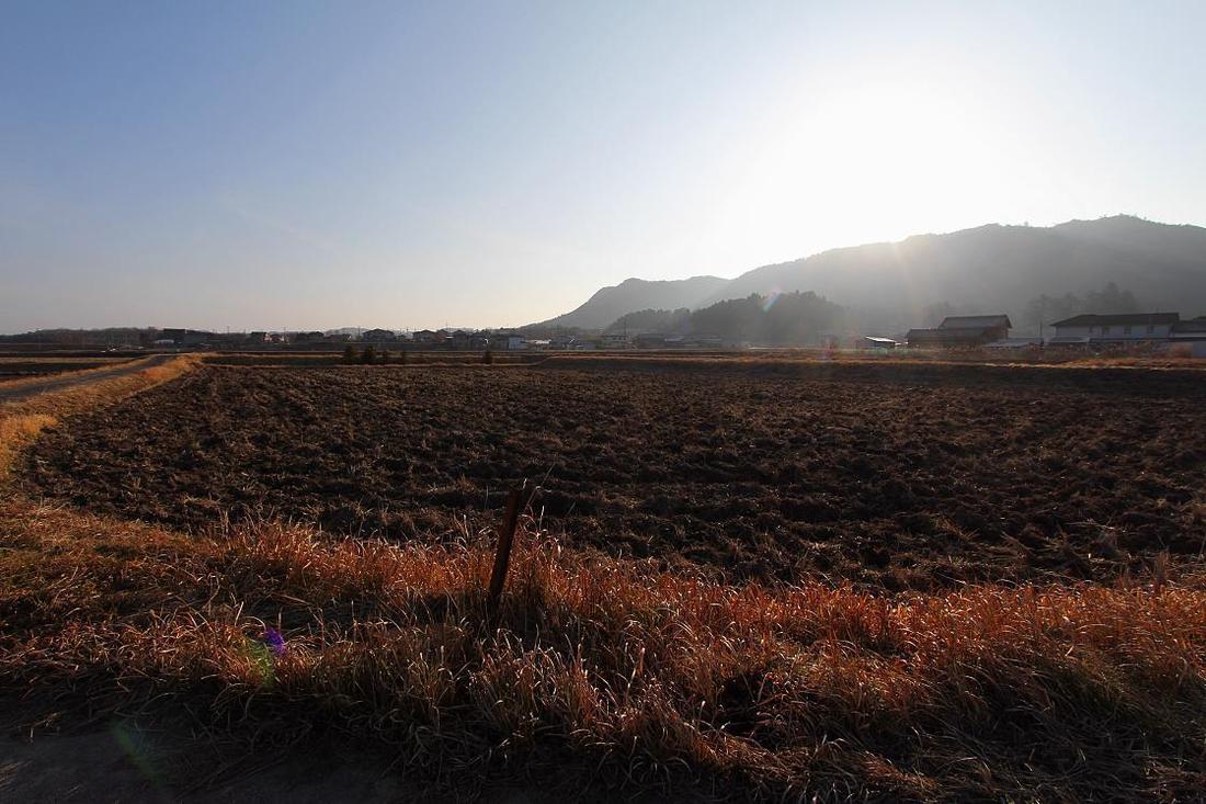 Touring the towns of East Nara and Nabari
