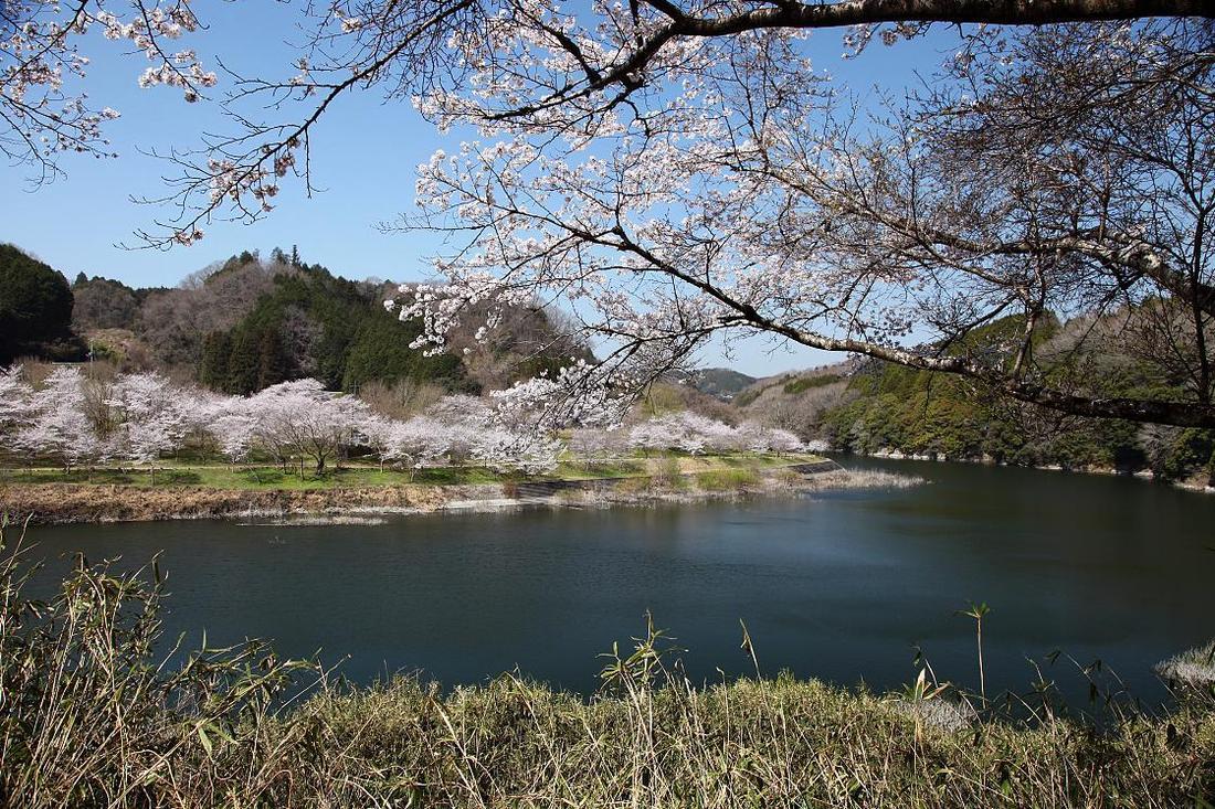 Touring the towns of East Nara and Nabari