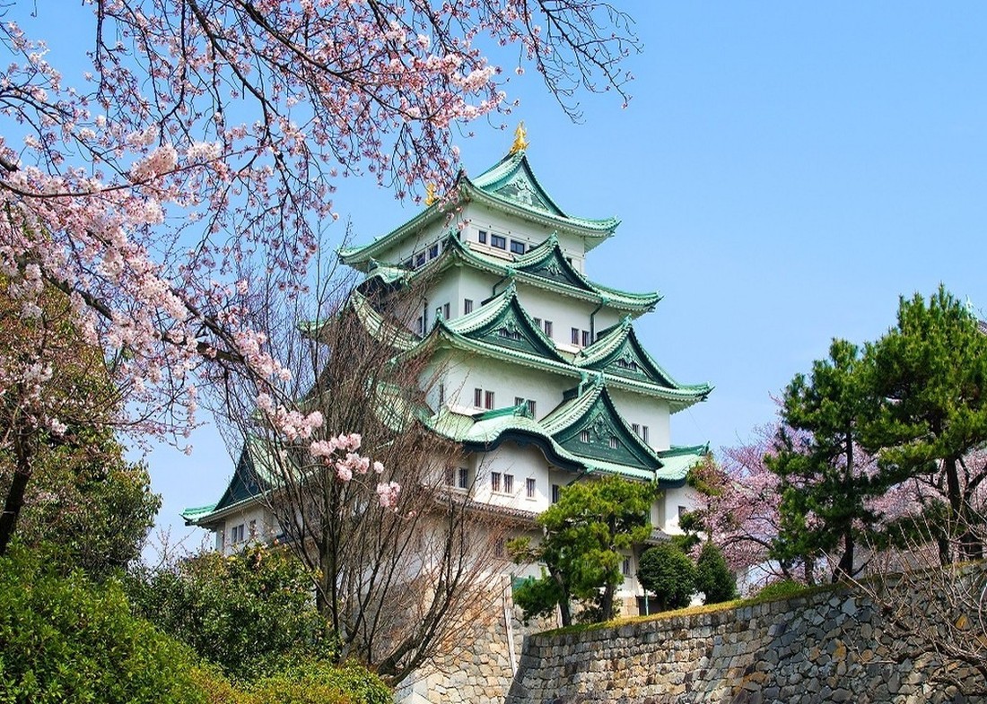 20 Places In 2020 To Hanami In Style For The Cherry Blossom Season