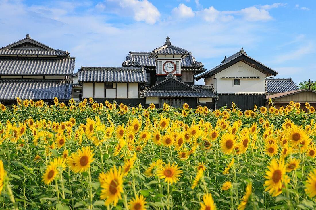 A Travel Pro's Retreat in Kochi