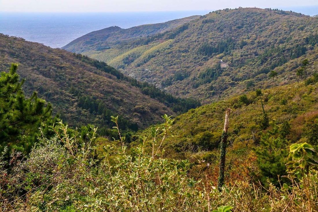 Sea of Japan Coastlines: Exploring Daisen-Oki National Park