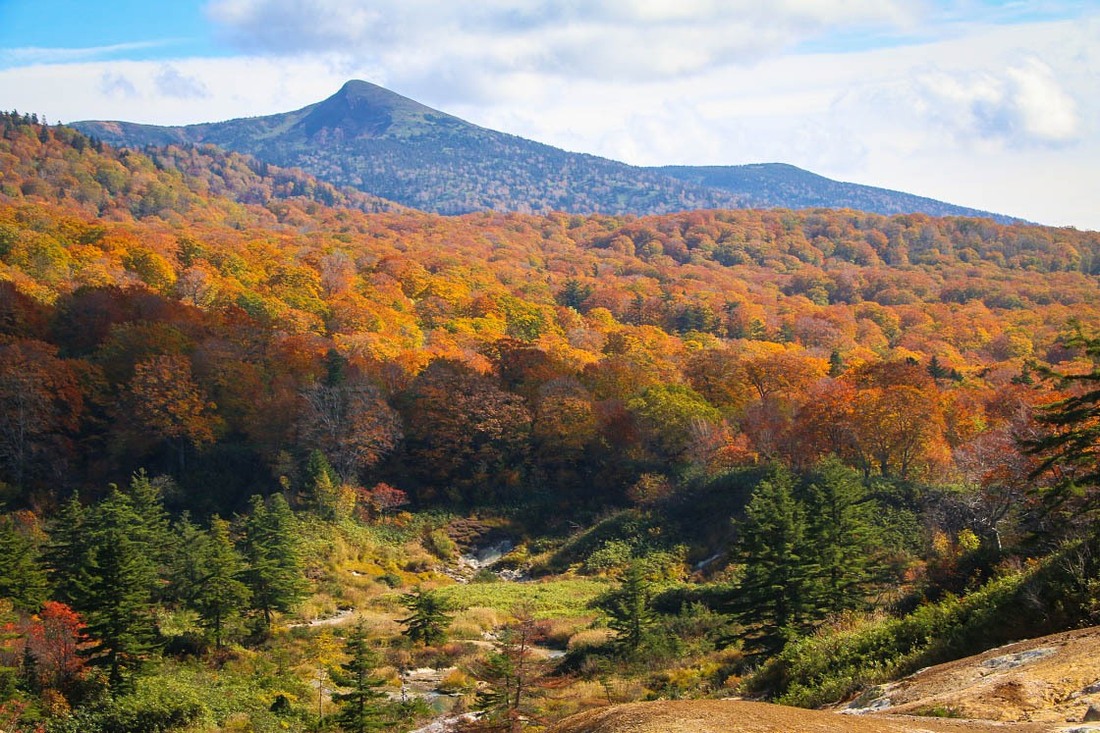 Autumn Wonderland: Exploring Towada-Hachimantai National Park