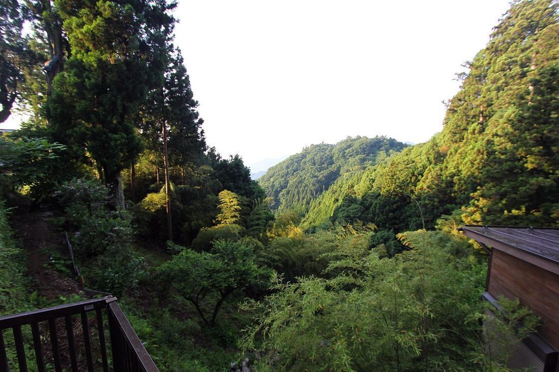 An overnight escape on Tokyo's Mount Mitake