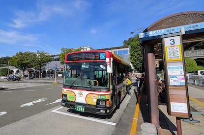 A local's guide on where to enjoy the outdoors in the Tama region ...