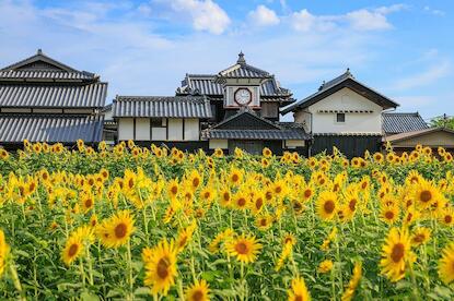 A Travel Pro's Retreat in Kochi