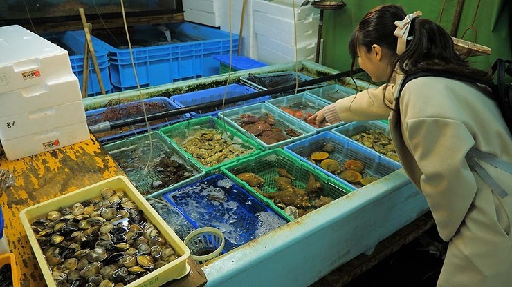 Enjoy the attractions of the port town of Sasebo, filled with ...