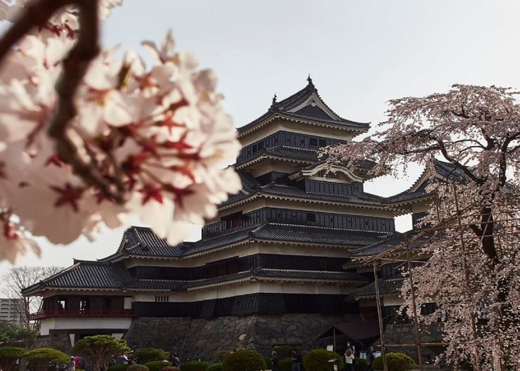 20 Places In 2020 To Hanami In Style For The Cherry Blossom Season