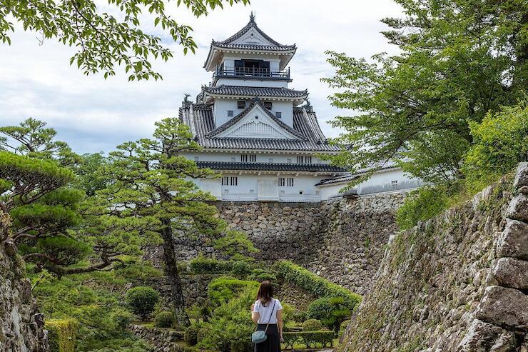 A Travel Pro's Retreat in Kochi