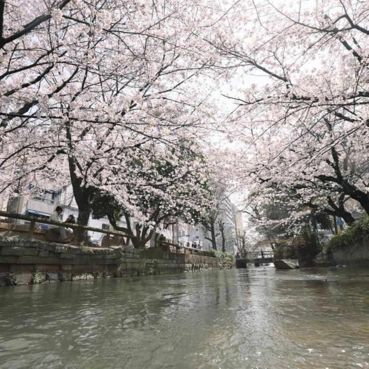 Traveling in Setouchi: an untouched natural paradise - Must-Visit ...