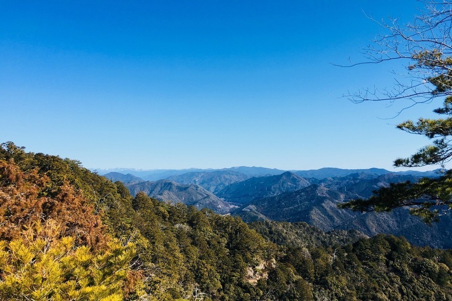 Samurai castles, mystical mountain temples and the nature of Aichi