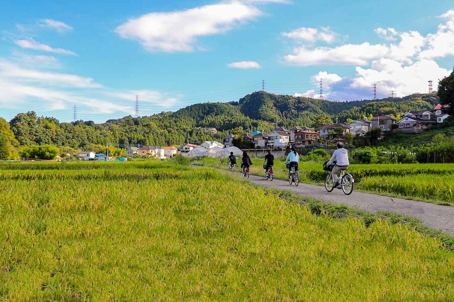 A local's guide on where to enjoy the outdoors in the Tama region ...