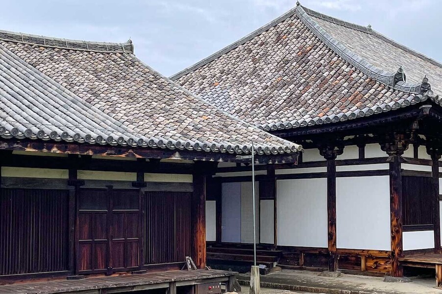 Sightseeing in the ancient capital of Nara