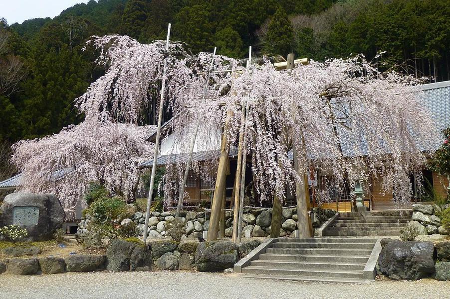 Touring the towns of East Nara and Nabari