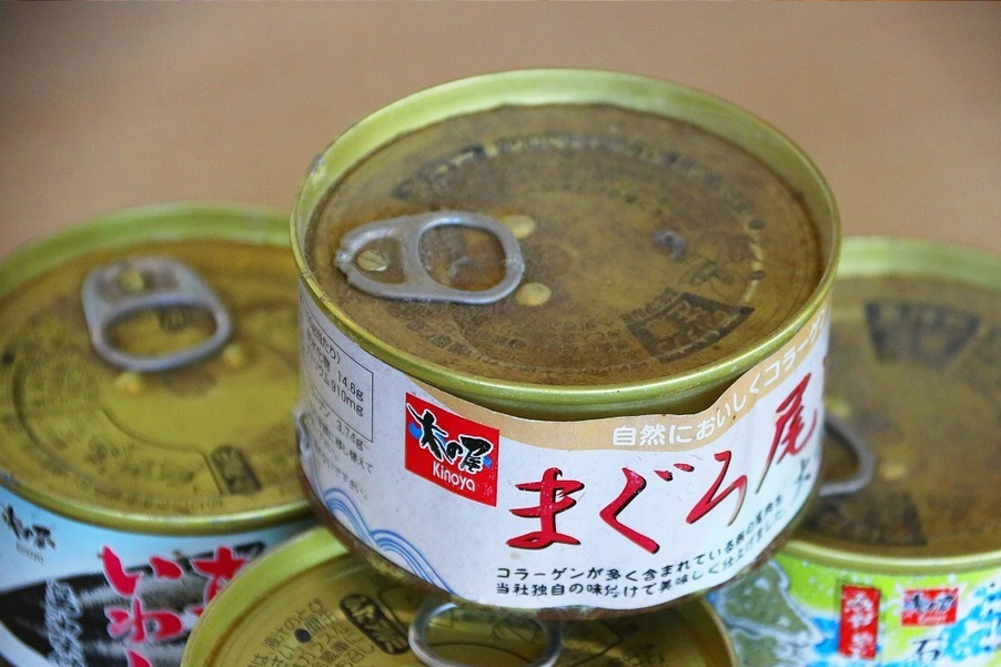 Seafood adventure in Miyagi Prefecture