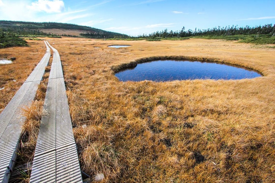 Autumn Wonderland: Exploring Towada-Hachimantai National Park