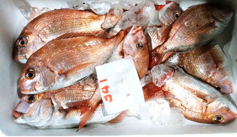 Traveling in Setouchi: an untouched natural paradise - Must-Visit ...