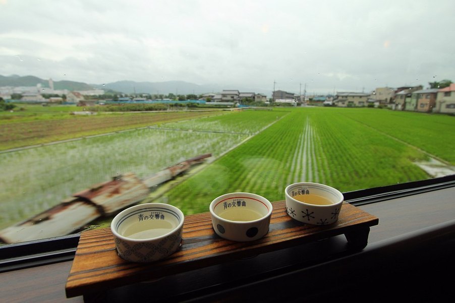 Sake Sipping and Onsen Soaking in Yoshino