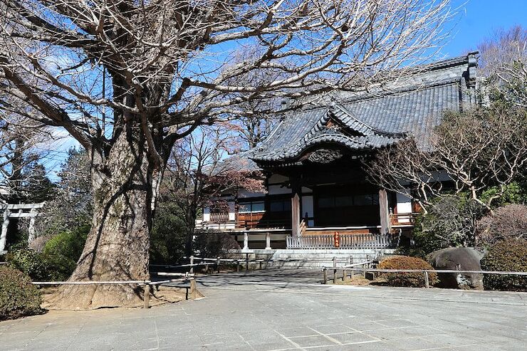 A Stroll Through Japan - A stroll through Koenji