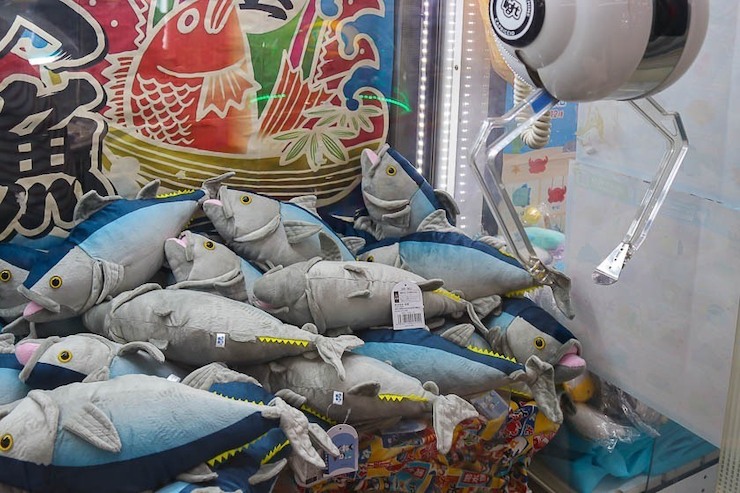 Far Flung Japan - Jogashima Island