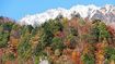 Tokyo to Alpine Route: How to get to and around Alpine Route - Access ...