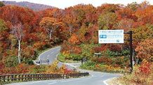 Hachimantai Travel Guide - What to do around Mount Hachimantai