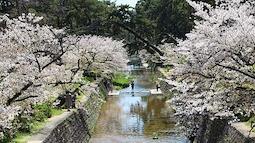 japan-guide.com | Matt Evans