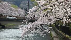 japan-guide.com | Matt Evans