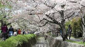 japan-guide.com | Matt Evans