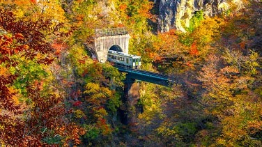 Autumn Color Reports 2018 - Yamadera: Peak Colors