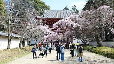 japan-guide.com | Matt Evans