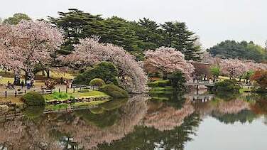 japan-guide.com | Matt Evans