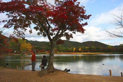Autumn Color Report 2009: Kyoto: Arashiyama