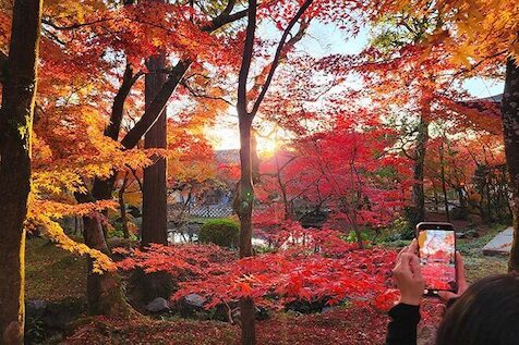 Japan Event Calendar: July 2026