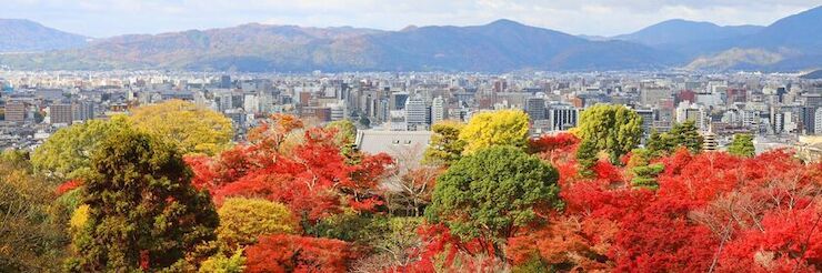 Autumn Color Reports 2024