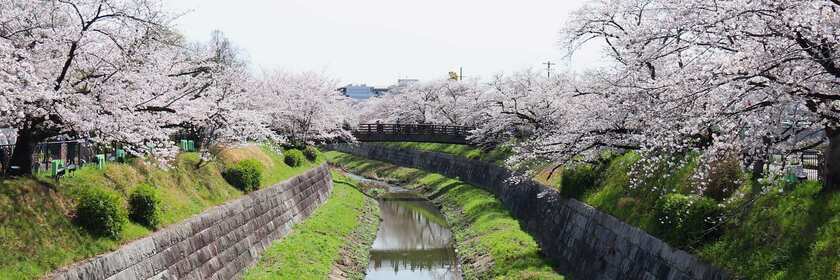 Sidetrips from Nagoya - Exploring central Japan