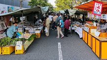 Home Delivery by japan-guide.com - Your daily dose of Japan
